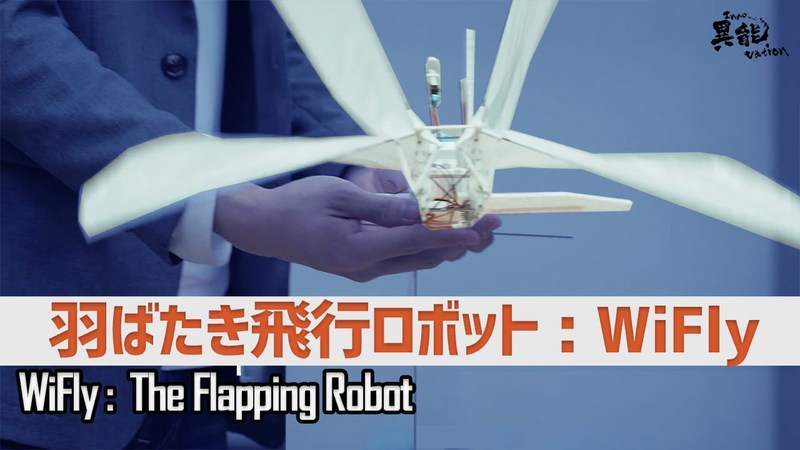 Flapping Flying Robots Open New Needs in the Semiconductor Industry ...