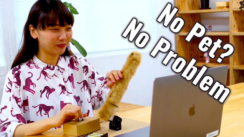 Spice Up Your Online Meetings With This Cat Tail Machine | InnoUvators